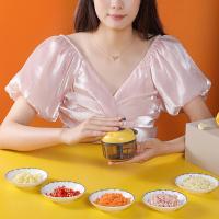 China Mini Food Crushing Machine Effortlessly Crush Vegetables with Stainless Steel Blades for sale