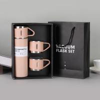 China Stainless Steel Thermo 17oz Vacuum Insulated Bottle with Handle 330g Designed to Suit Adults for sale