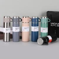 China Stainless Steel Thermo 17oz Vacuum Insulated Bottle with Handle 330g Designed to Suit Adults for sale