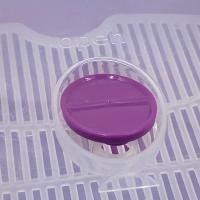 China 1-Tier Plastic Square Microwave Steamer for Vegetables and Rice Party-Friendly Design for sale