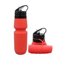 China 750ml Anti-corrosion Coated Silicone Water Bottle for Travel and Sports Customizable for sale
