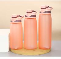 China Stocked Outdoor Activity Gym Portable BPA Free Plastic Sports Water Bottle with Time for sale