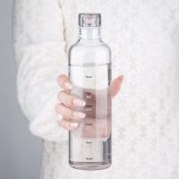 China Minimalist Design Style 500ml BPA-Free Borosilicate Glass Water Bottle with Time Marker for sale