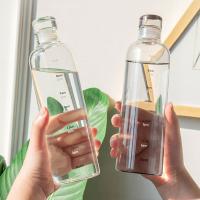 China Minimalist Design Style 500ml BPA-Free Borosilicate Glass Water Bottle with Time Marker for sale