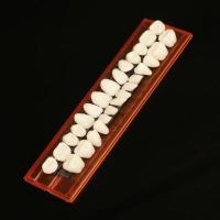 China Advanced Type Dental Artificial Denture Acrylic Resin Teeth Set for sale