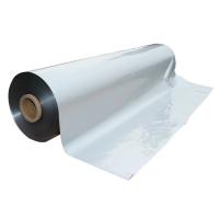 China 12u Coated White Polyethylene PE Metallized PET Film Food Soft Petg Film Silver Crystal Mirror Pet Film for sale