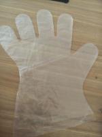 China Polyethylene Food Grade Disposable Gloves Clear How Density Polyethylene Material for sale