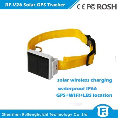 China 2016 newest mini solar powered cow gps tracker best price for big animal rf-v26 for sale