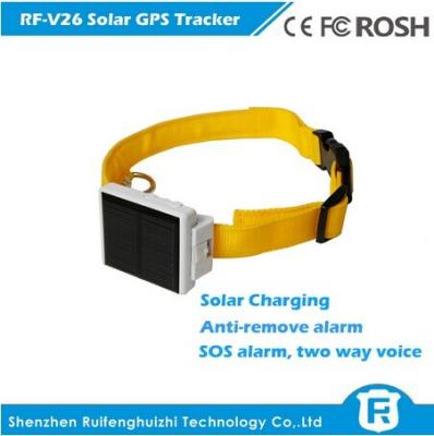China 2016 mini waterproof solar powered cow gps tracker install free play store app rf-v26 for sale