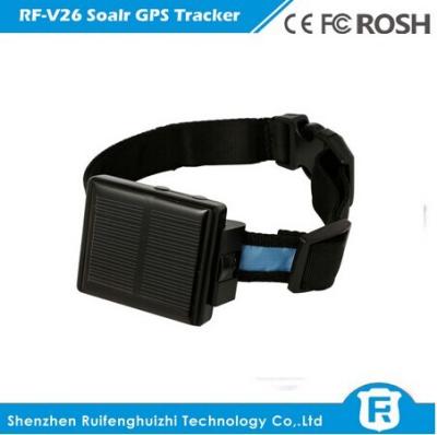 China China manufacturer solar powered cow/sheep/dog gps tracker for big animal with voice monit for sale