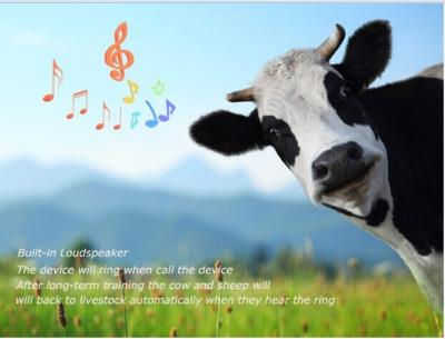 China Mini solar gps tracker waterproof suitable for cattle tracking reachfar rf-v26 for sale