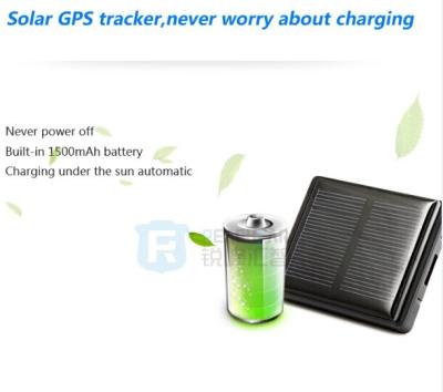 China Server software sheep animal tracking gps tracker/advanced google earth gps gsm vehicle tr for sale