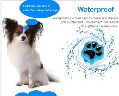 China Cheap tractive gps pet tracker for dog waterproof ip66 rf-v32 for sale