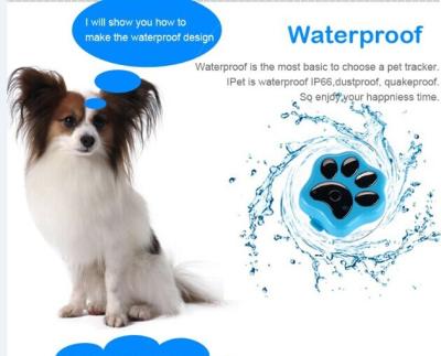 China Worlds smallest pet tracker smart gps cat tracker reachfar rf-v30 for sale