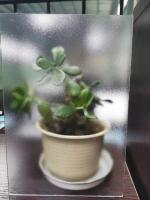 China White Frosted Polycarbonate Embossed Sheet Glass for sale