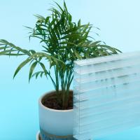 China 100% Virgin Bayer Polycarbonate Hollow Sheet For Construction for sale