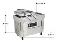 China Double Chamber Vacuum Nitrogen Sealer For Food Fish DZ-500/2SB for sale