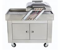 China Double Chamber Vacuum Nitrogen Sealer For Food Fish DZ-500/2SB for sale