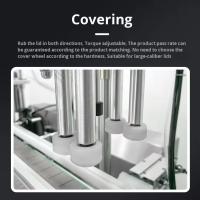 China Small Desktop Automatic Magnetic Pump Liquid Essential Oil Perfume Linear Filling Capping Machine Factory Price for sale