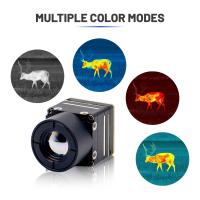 China MINI2 640*512 Infrared Thermal Imaging Module 9.1mm Focal Length for Industrial Hunting Cameras for sale