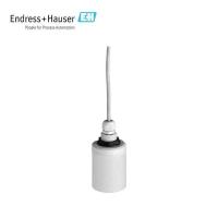 China 100% New Original Endress-Hauser Ultrasonic Interface Sensor Turbimax CUS71D Digital Sludge Level Sensor a Good Price in Stock for sale