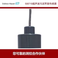 China EMF Turbidity Analyzer Ultrasonic Sludge Interface Sensor CUS51D-AAD1A4 for sale