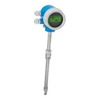 China Stainless Steel Good Price Hot Sales  T-mass B150 6BAB Thermal Mass Flowmeter for sale