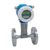 China E+H Endress+Hauser Prowirl 200 72F25 Options Model Vortex Flow Meter for Level Measuring Instruments at Affordab for sale
