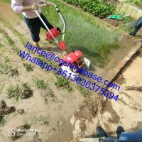 China 2HP Gasoline Multifunctional Pastoral Weeder 52cc Light Weight Management Machine for sale