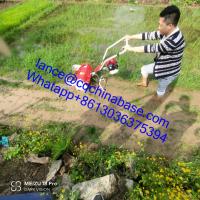 China 1650W Multifunctional Power Weeder Pastoral Manual Recoil Start for sale