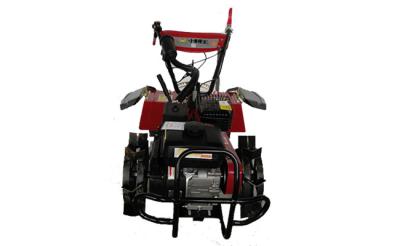 China 4.0KW Mini Tiller Cultivator for sale