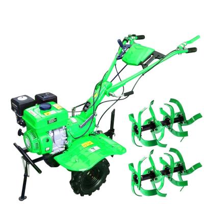 China Gasoline 170F 5.5HP Agriculture Cultivator Machine Wet Friction Plate for sale