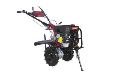 China 170F Gasoline 5 Gear Positions 4.0KW Agriculture Power Tiller for sale