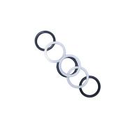 China Transparant FFKM Material O Rings 315 Degree Centigree High Temperature Resistance For Semiconductors for sale
