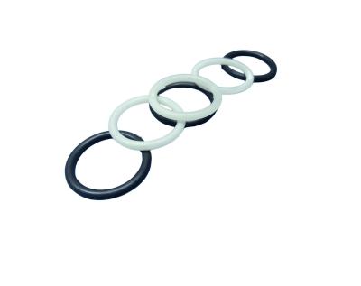China 20Mpa Tensile Strength FFKM O Rings with Aging Resistance and Extreme Temperature Resistance for Harsh Environments for sale