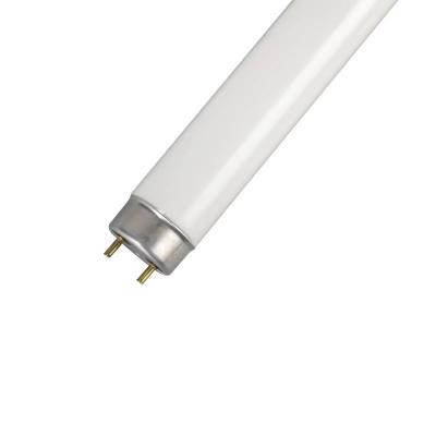 China T5 HE 8W/14W/21W/28W/35W Traditional Fluorescent Tube Bulbs with 95lm/w Light Efficacy for sale