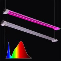 China Customized T8 Split Lamp Tube LED Light Source in Pink Color for Project Installation for sale