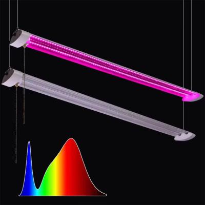 China Customized T8 Split Lamp Tube LED Light Source in Pink Color for Project Installation for sale