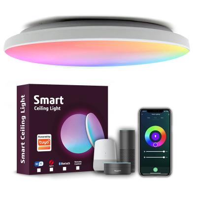 China White 24W 300mm Tuya Smart RGB Slim Ceiling Light for Modern Bedroom and Living Room for sale