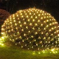 China Small Colourful Lights for AC200-240V 11W LED Grid Light Strings 3*2M Outdoor Garden for sale
