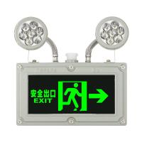 China Double Head 2*5W Explosion-proof Emergency Light for Fireproof Chemical Evacuation for sale