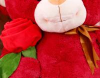 China 80cm Giant Red Teddy Bear Stuffed Animal Plush Toy with Rose Flower Jumbo Soft Gift for sale