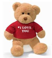 China Custom OEM 30cm Brown Family Teddy Bear Plush Toy with T-Shirt CE EN71 for sale