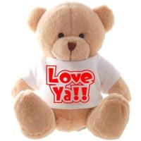 China 12 Inch White Teddy Bear Stuffed Plush Toy with Embroidery Custom Logo OEM for sale