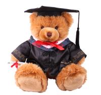 China 18 Inch Doctor Graduation Teddy Bear Stuffed Soft Plush Toy 40cm Brown for Collection Celebration for sale