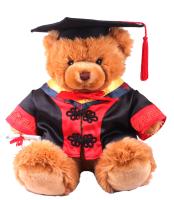 China 18 Inch Doctor Graduation Teddy Bear Stuffed Soft Plush Toy 40cm Brown for Collection Celebration for sale