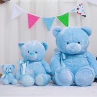 China Custom 12 Inch Blue Teddy Bear Plush Toy Soft Stuffed Animal for Promotional Gifts OEM for sale