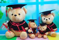 China Doctor Graduation Plush Teddy Bear 30cm Soft Stuffed Toy for Celebration Gift for sale