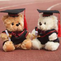China Doctor Graduation Plush Teddy Bear 30cm Soft Stuffed Toy for Celebration Gift for sale