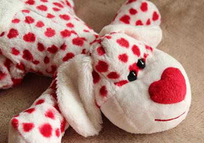 China Custom Plush Dog Stuffed Toy 35cm Soft PP Cotton Filled for Valentine Promotion for sale